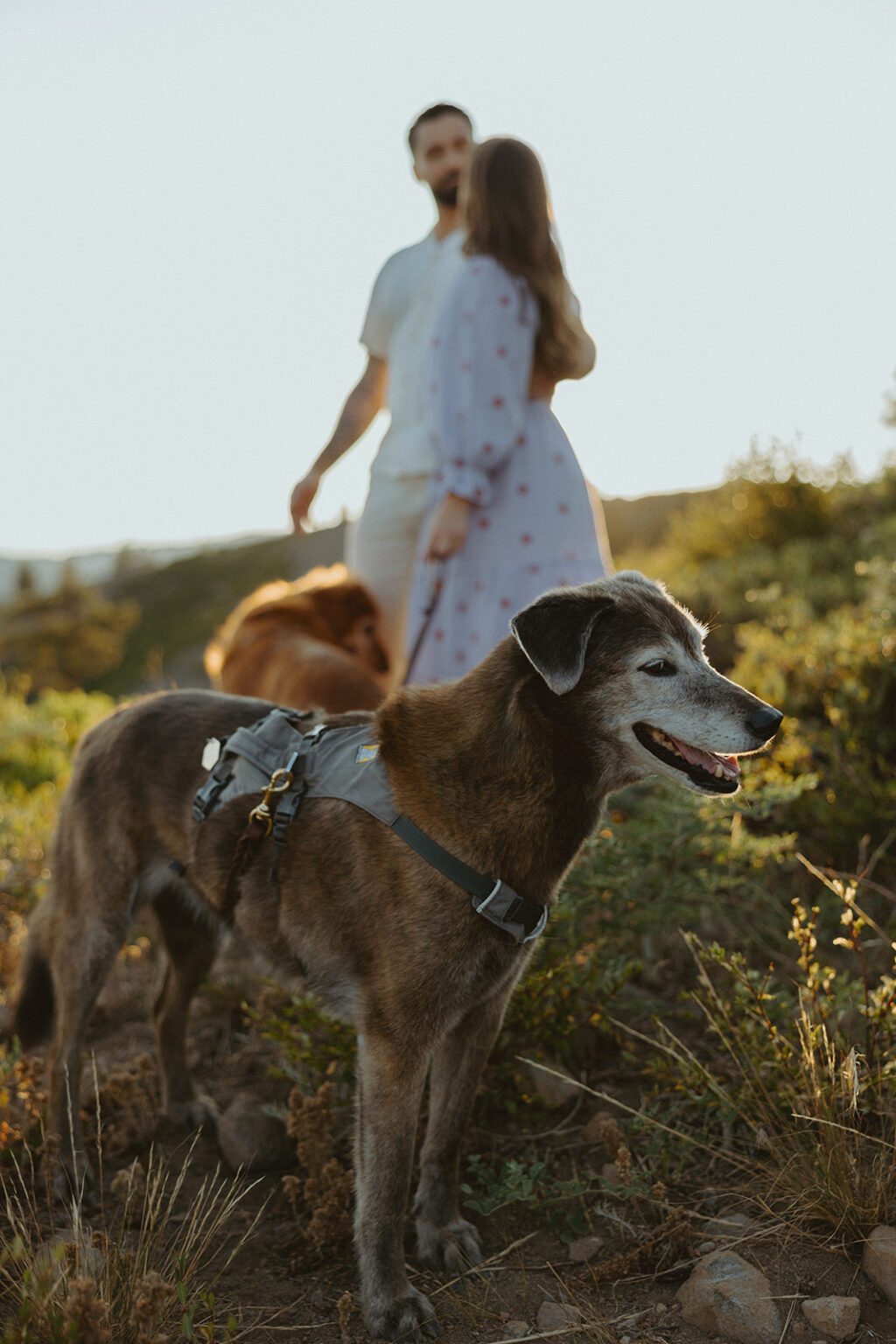 Donner Lake Elopement | Lora & Bennett - emmawynnpaul.com