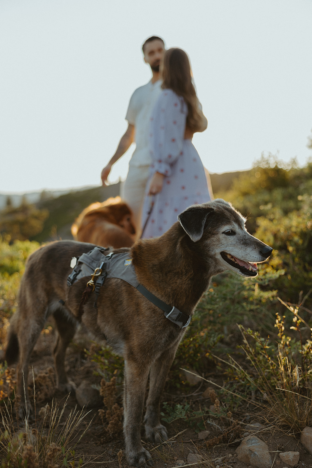 Donner Lake Elopement | Lora & Bennett - emmawynnpaul.com